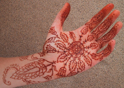 Full Portfolio – Henna Caravan