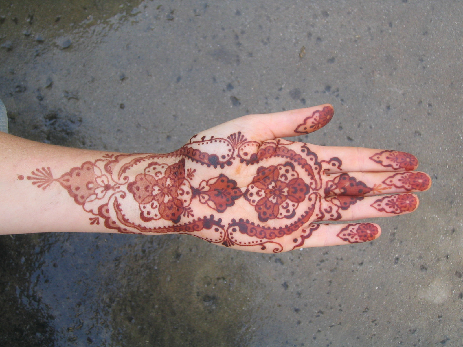 Full Portfolio – Henna Caravan
